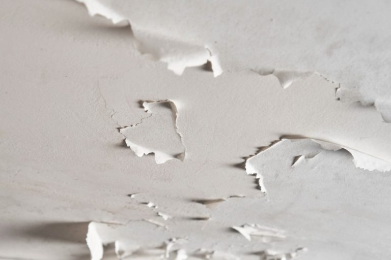 How Plumbing Leaks Cause Drywall Damage: Mold, Stains, & More